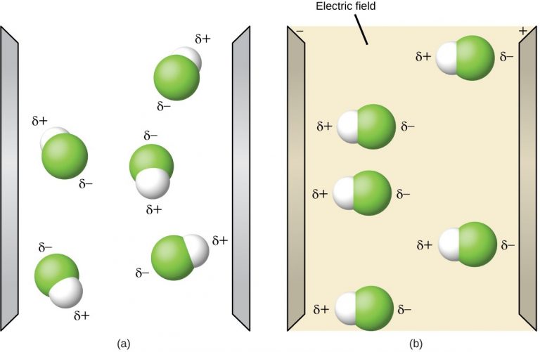 Molecular Structure and Polarity – Introductory Chemistry
