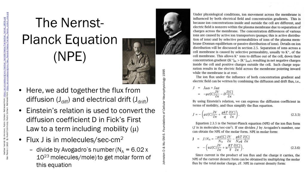 The Nernst-Planck Equation – Advanced Neuroscience