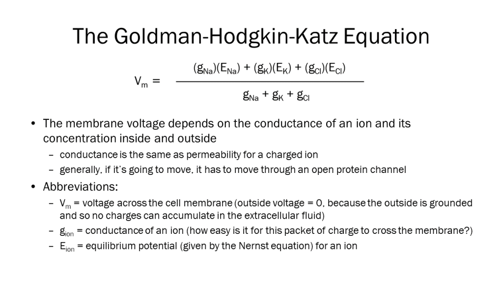The Goldman-Hodgkin-Katz (G-H-K) Equation – Advanced Neuroscience
