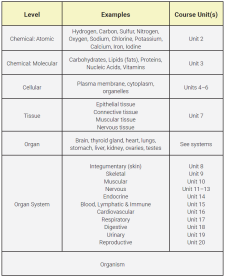 Levels of Organization – Integrated Human Anatomy and Physiology